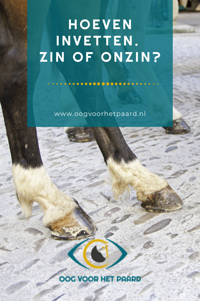 Hoeven invetten. Zin of onzin? - Oog voor het paard